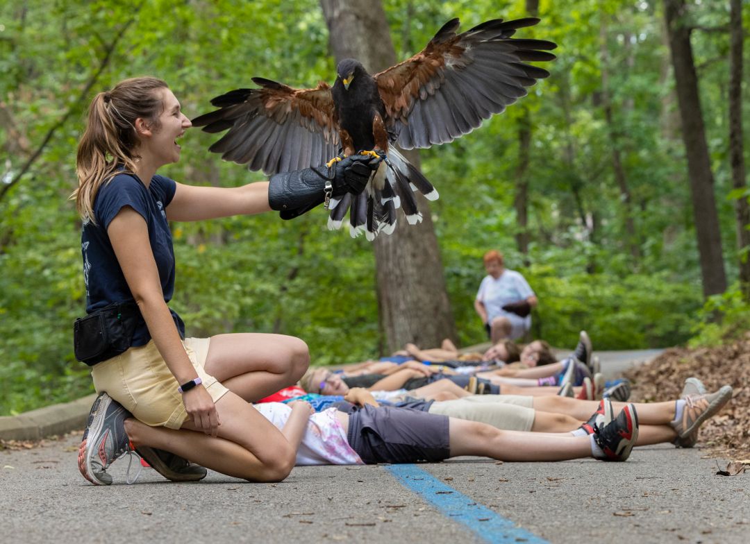 Summer Camps - World Bird Sanctuary