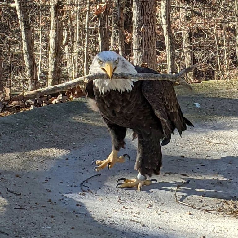 Visit - World Bird Sanctuary