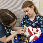 About Us - World Bird Sanctuary