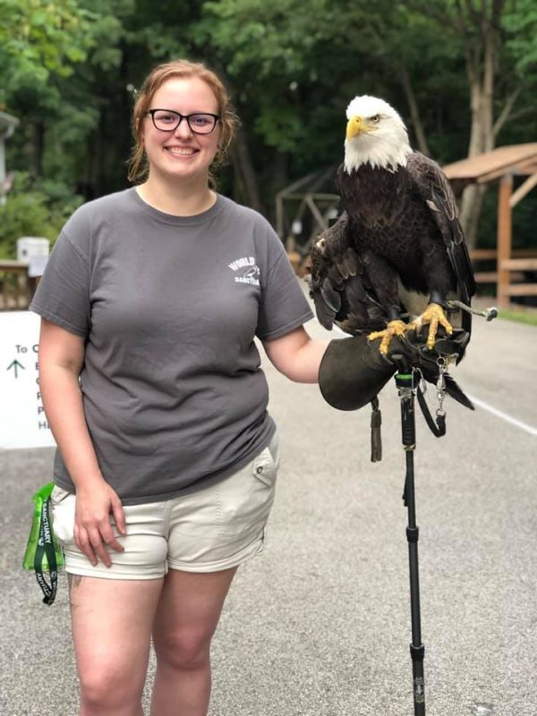 Volunteer - World Bird Sanctuary