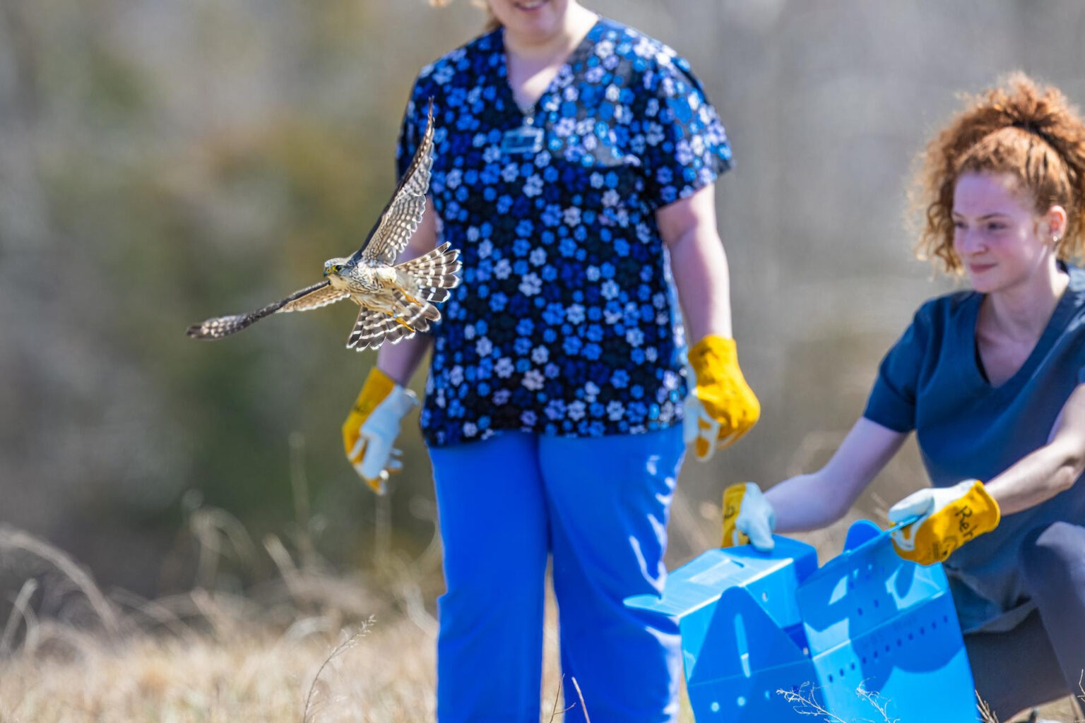 Events - World Bird Sanctuary