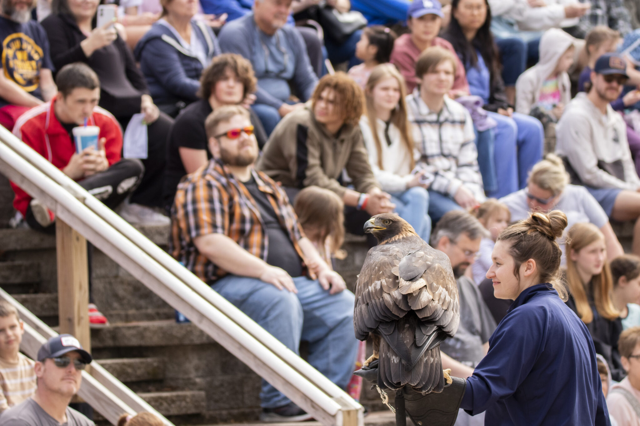 Events - World Bird Sanctuary